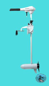 10 Best Trolling Motor For Float Tube